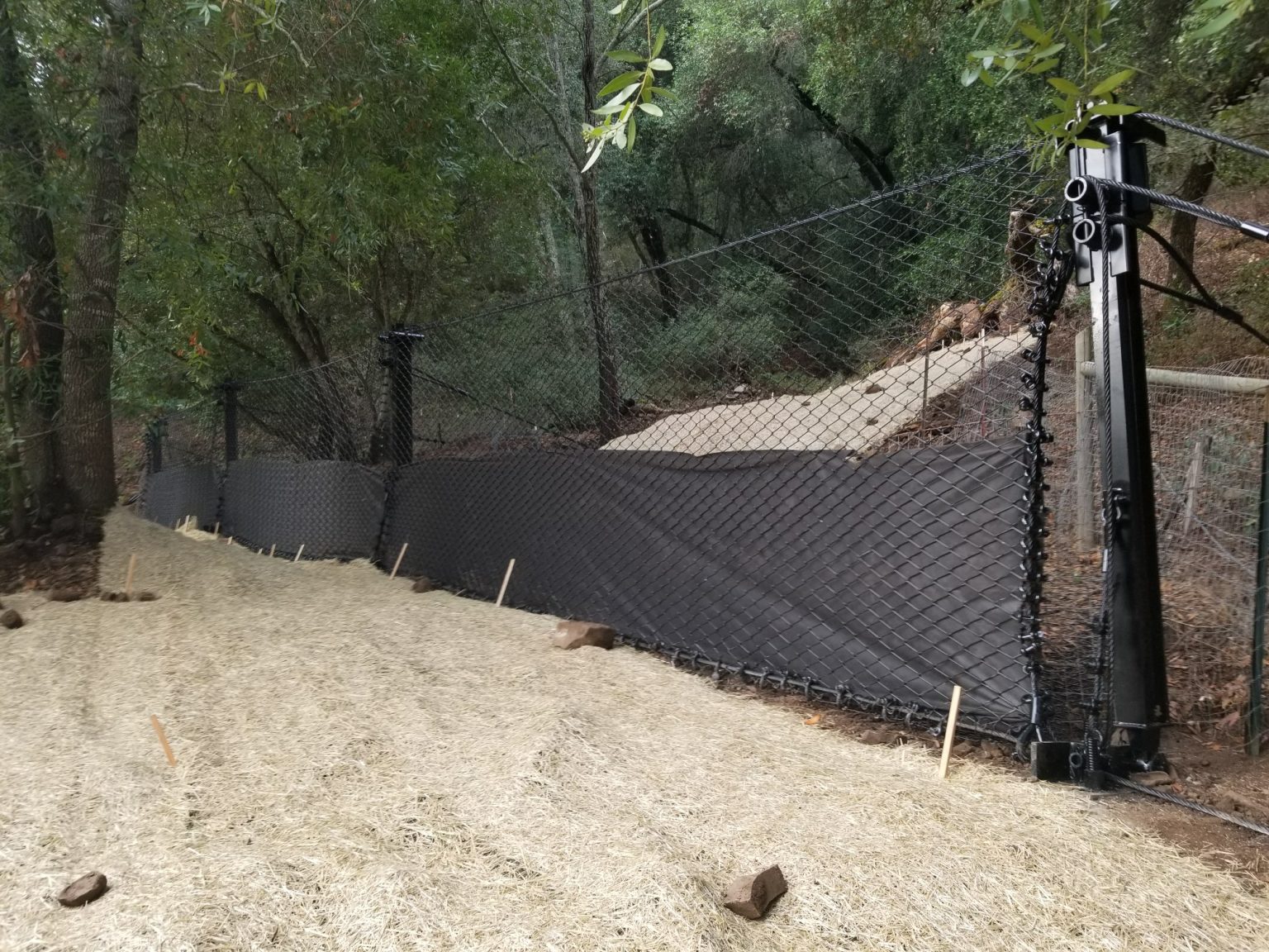 Expertly Engineered Catch Fences for Rockfall Containment