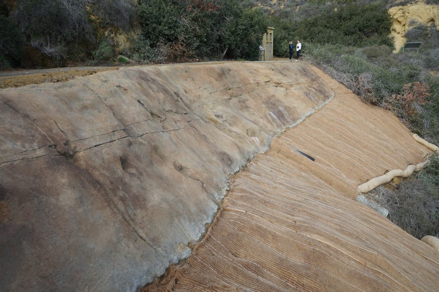 Steep Slope Erosion Control Experts: Safeguard Your Slopes