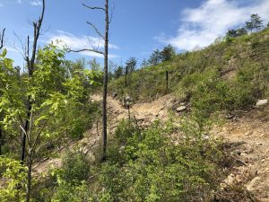 Steep Slope Erosion Control Experts: Safeguard Your Slopes