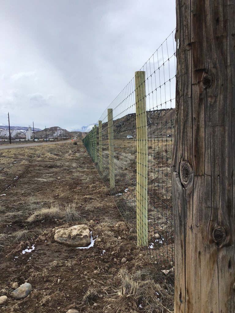 Wildlife Fencing | Safeguarding Wildlife From Danger |RoadGuard