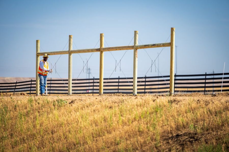 Wildlife Fencing | Safeguarding Wildlife From Danger |RoadGuard