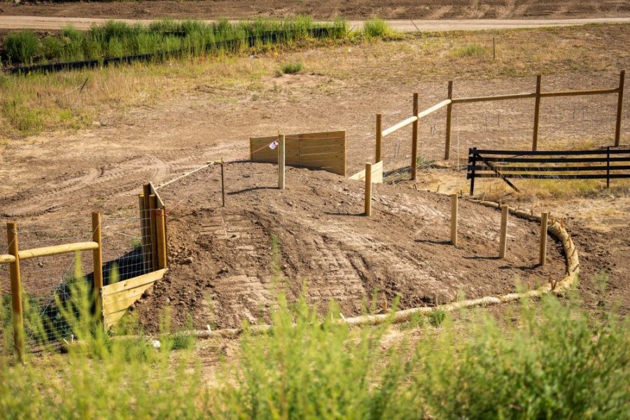 Wildlife Fencing | Safeguarding Wildlife From Danger |RoadGuard