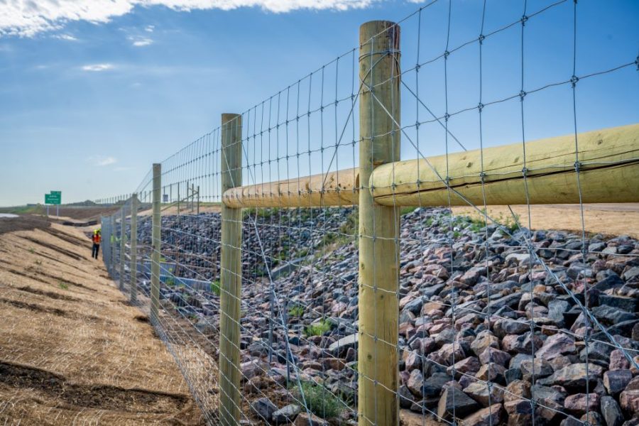 Wildlife Fencing | Safeguarding Wildlife From Danger |RoadGuard