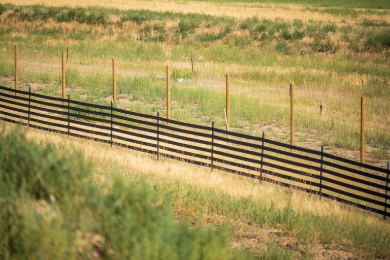 RoadGuard | Enhancing Road Safety in the United States