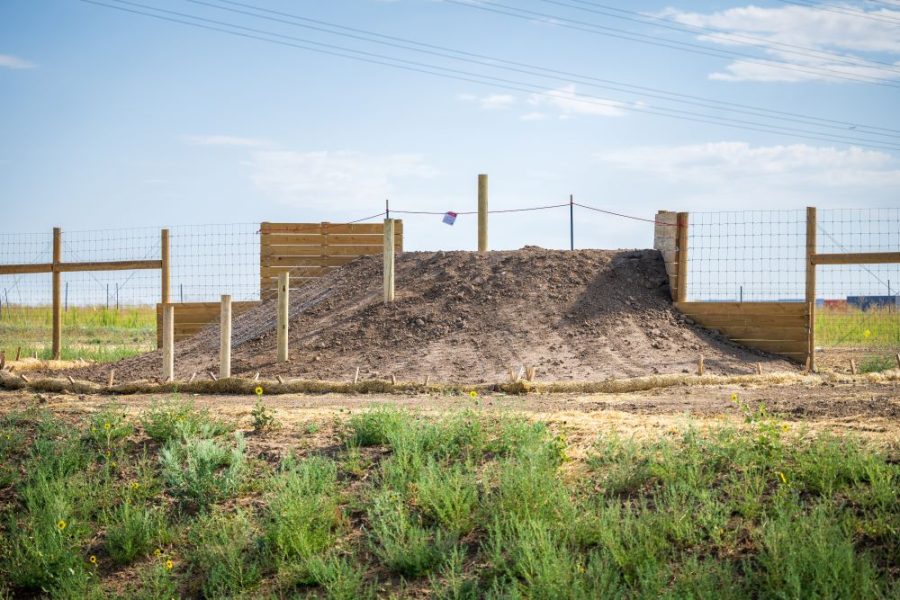 Wildlife Fencing | Safeguarding Wildlife From Danger |RoadGuard