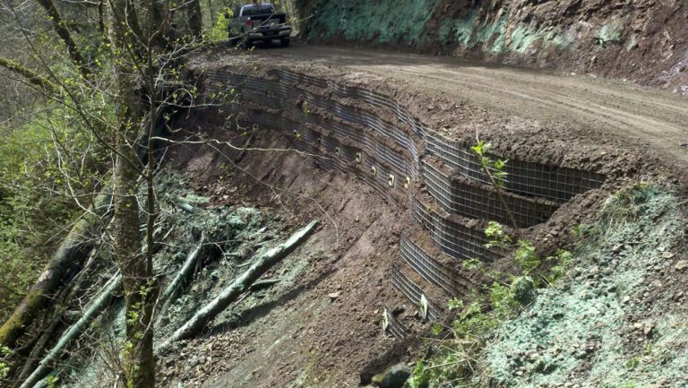 BioWall - Repairing Transmission Line Access Road