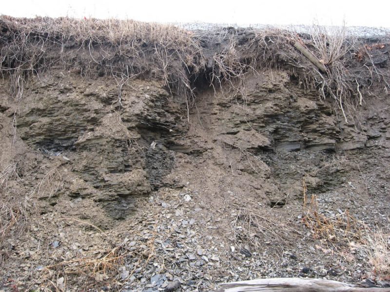 Slope Failure Project Utilizing a Soil Nail Wall