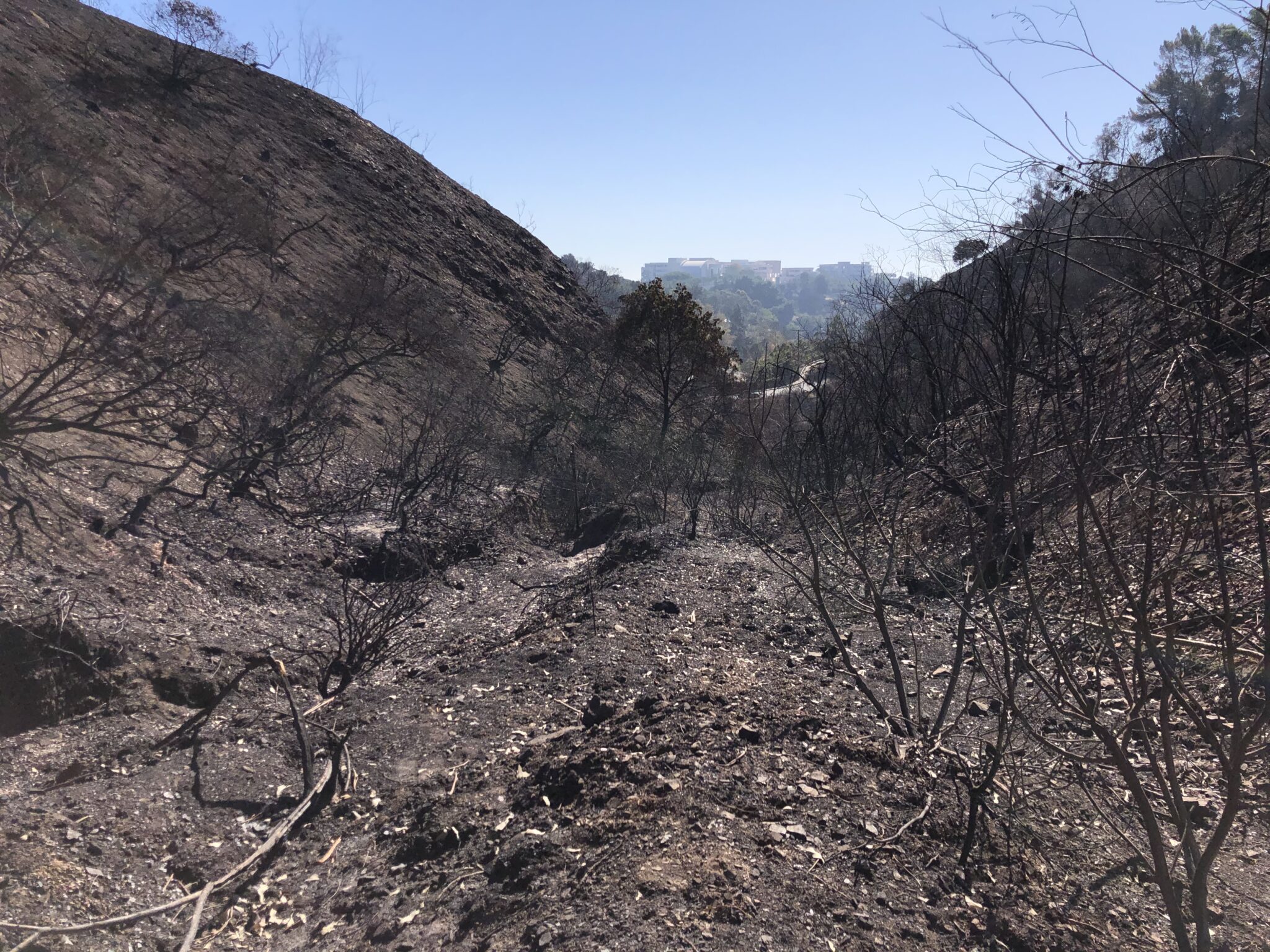 Wildfires - Geostabilization International